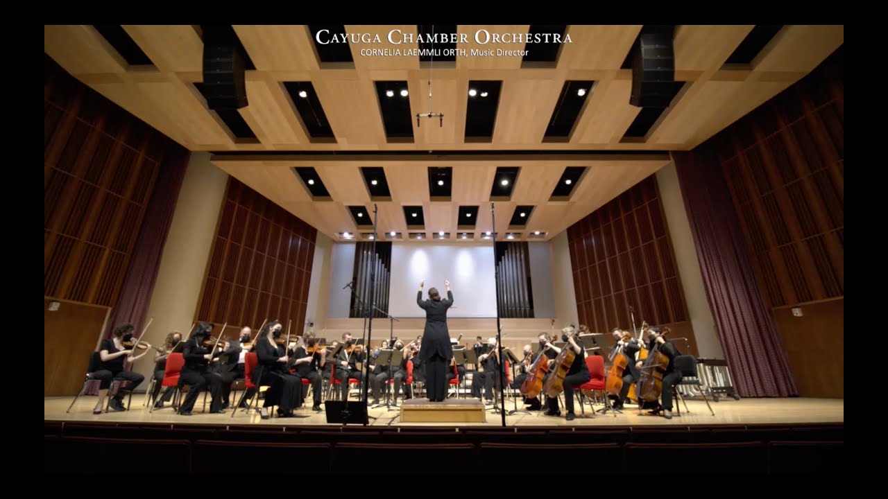 The Cayuga Chamber Orchestra Announces Flight of Fancy