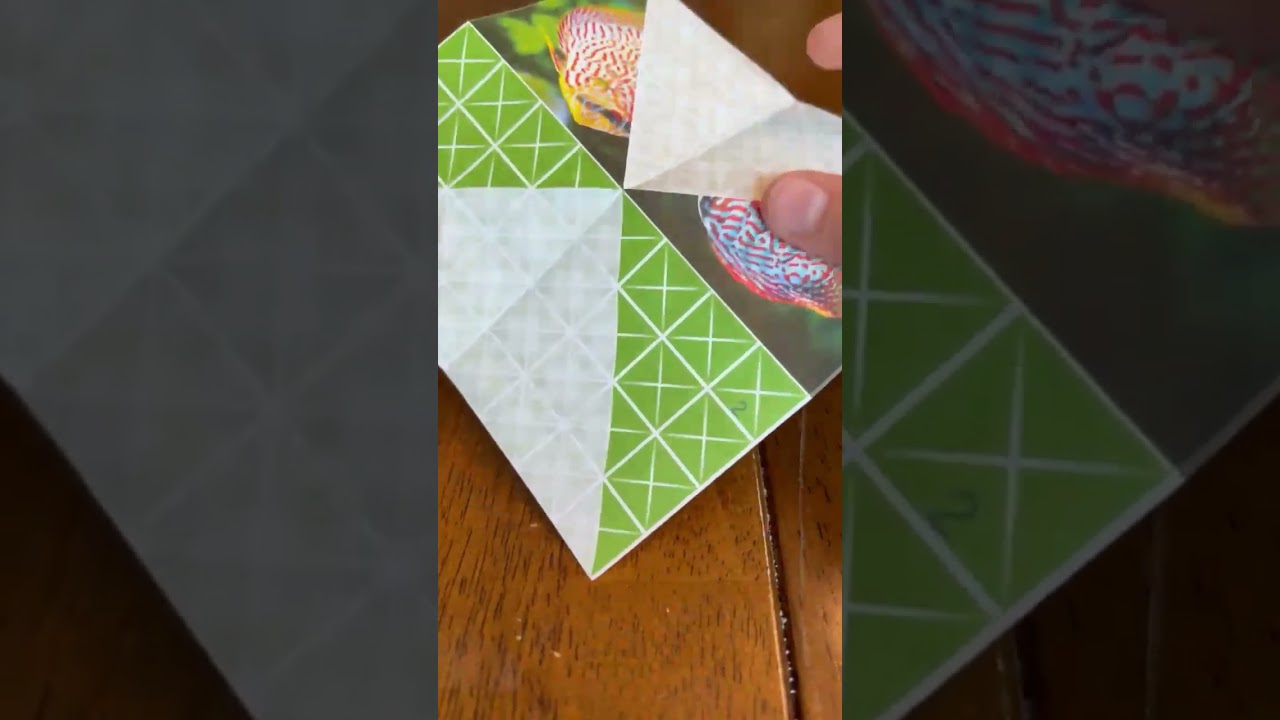 Foldology 1: Puzzle 2 Tutorial