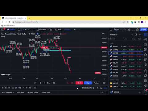 A year trading forex NZDUSD with Swing High Low Support & Resistance Indicator 48% Success Rate