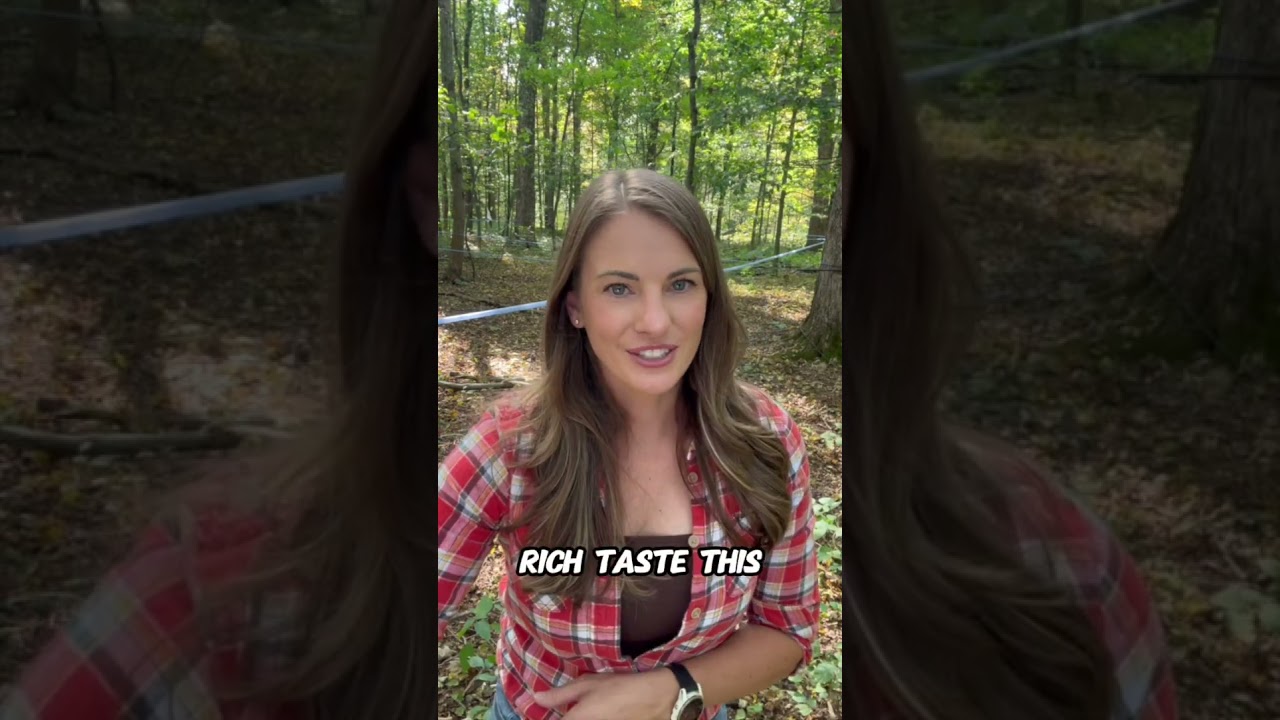 Maple Syrup Grades Explained in 60 Seconds! 🍁 #MapleSyrupGrades