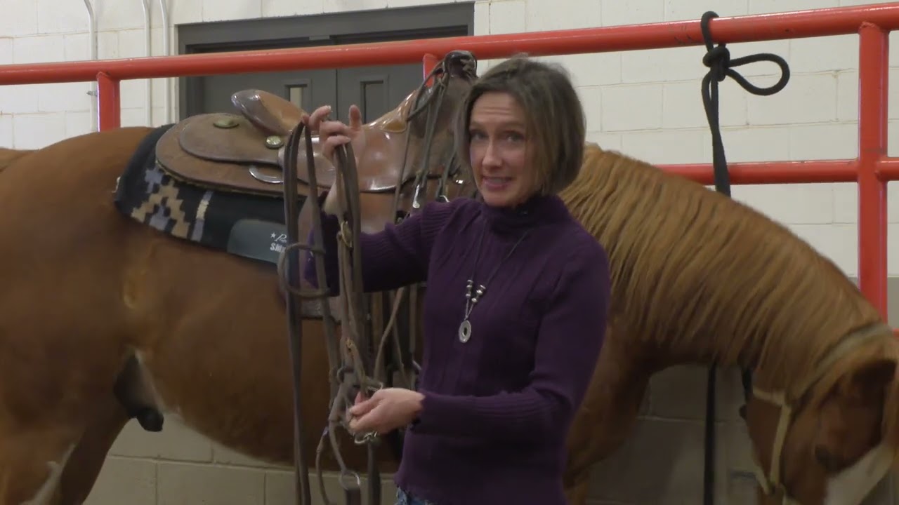 Everything Equine - March 5, 2022