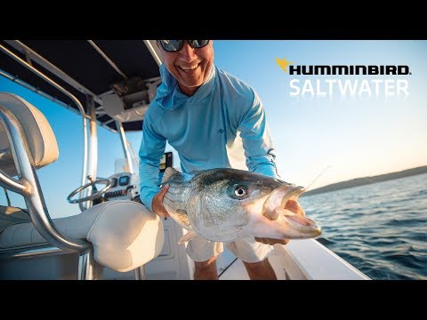 Saltwater Fishing is Easier than Ever with Humminbird