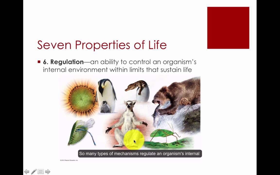 1.1 Biology: Exploring Life