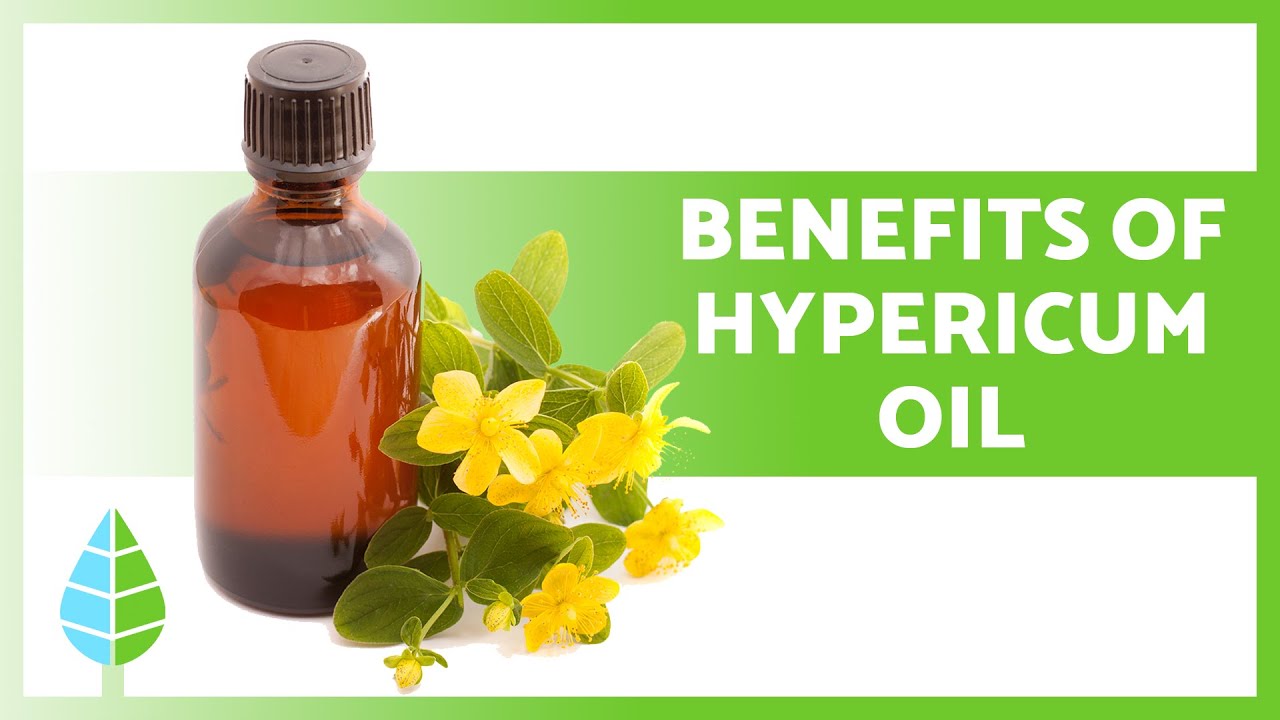 What is ST JOHN'S WORT OIL 🌼✅ (Properties, BENEFITS and How to Do use it)