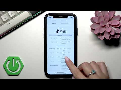 When Was TikTok Invented