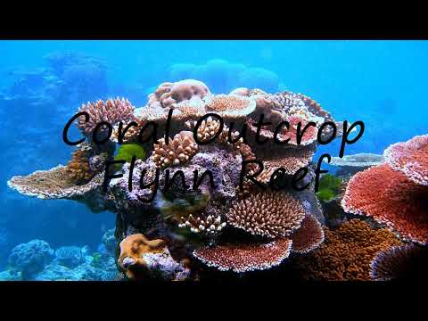 How to pronounce Coral Outcrop Flynn Reef in English?
