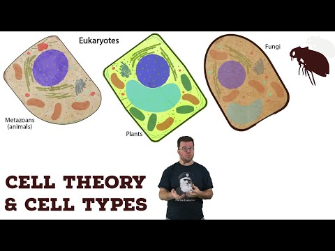Cell Theory & Cell Types