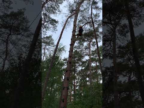 IMG 3009