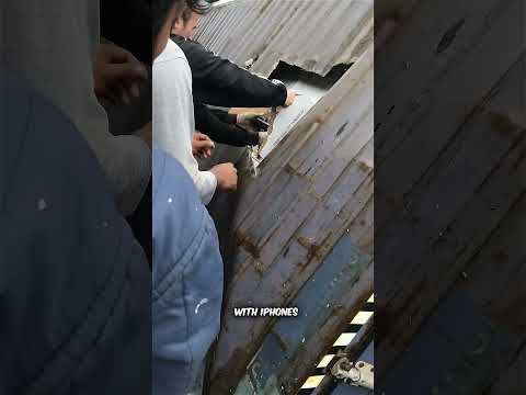 People Found Container In Open Sea?