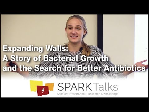 Shannon Murphy - Expanding Walls - A Story of Bacterial Growth and the Search for Better Antibiotics