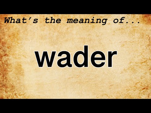 Wader Meaning : Definition of Wader