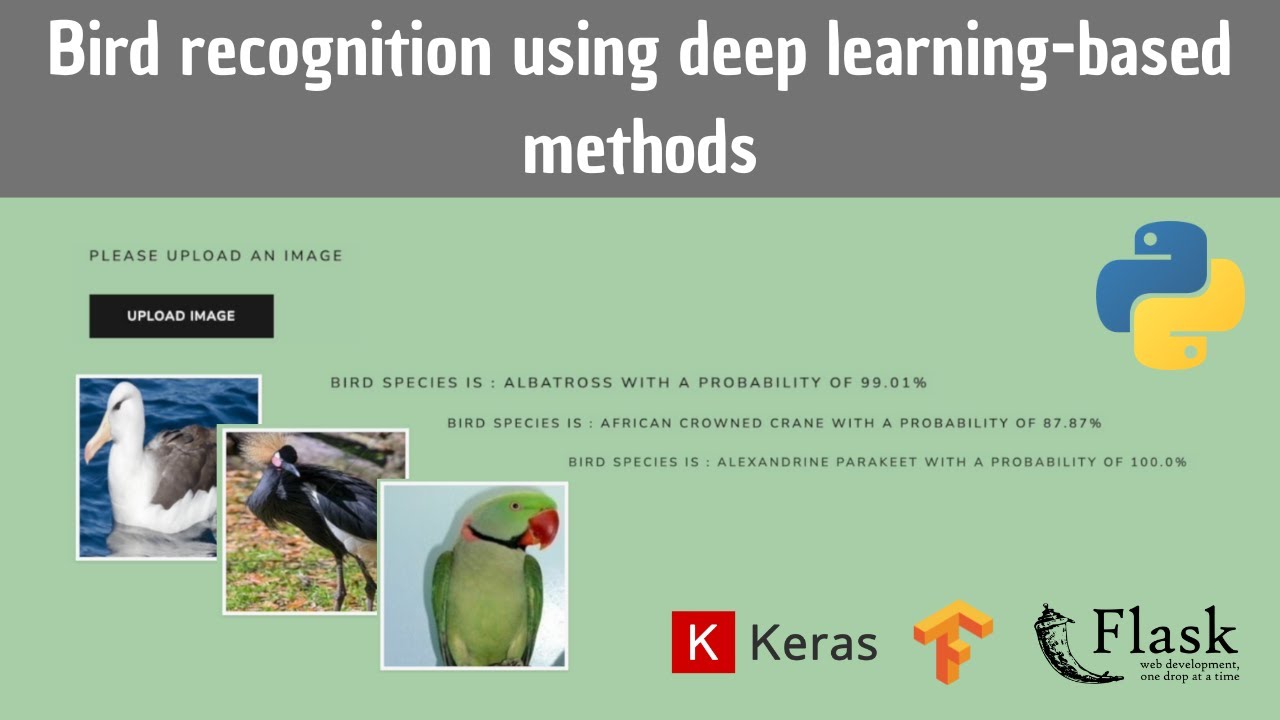 Bird recognition using deep learning-based methods | Python