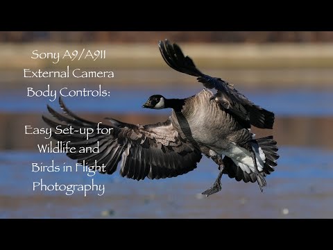 Sony A9 (II): External camera body controls