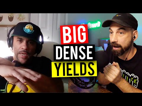How To MAXIMIZE Yield Using Plant Training Techniques! (Garden Talk #98)