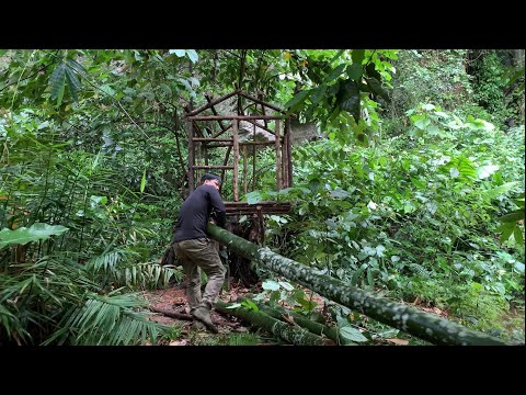 My best shelter is built of bamboo