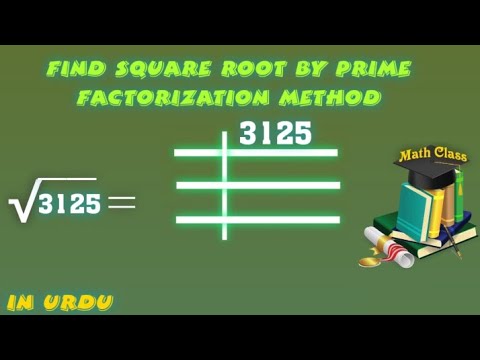 Find Square Root by Prime Factorization Method in Urdu, Square Root of 3125 (√3125)