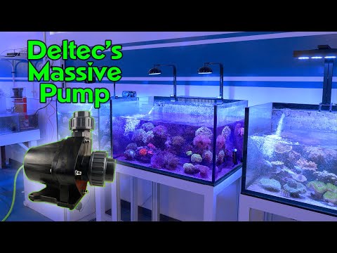 Deltec E-Flow Review