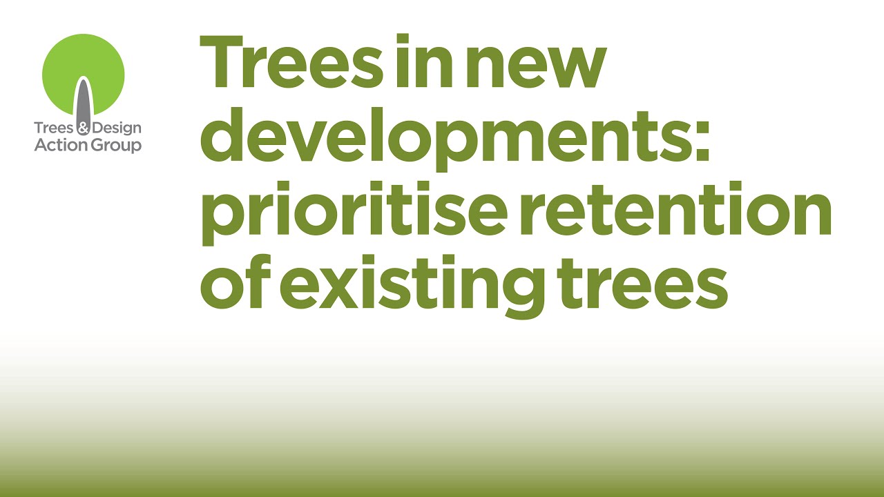 Trees in new developments: prioritise retention of existing trees