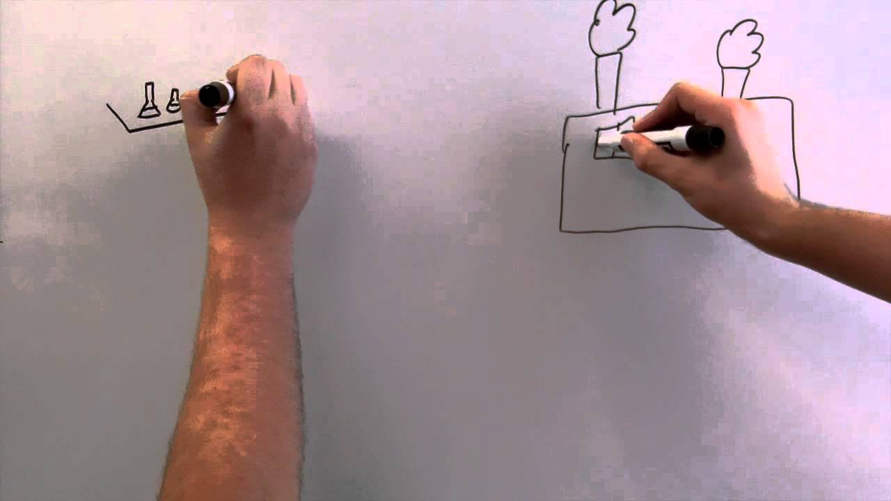 Policy and Practices: Purdue iGEM 2014