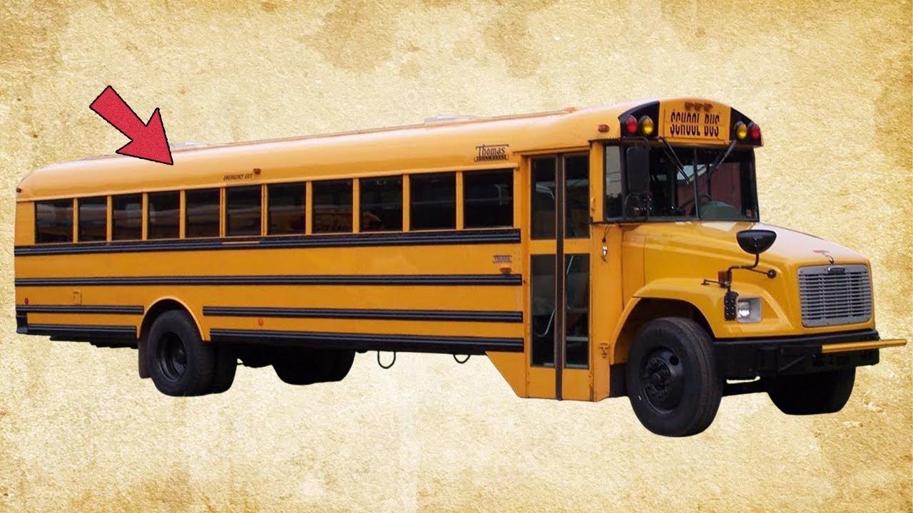 Freightliner FS-65: The School Bus Nobody Loved But Every Fleet Trusted