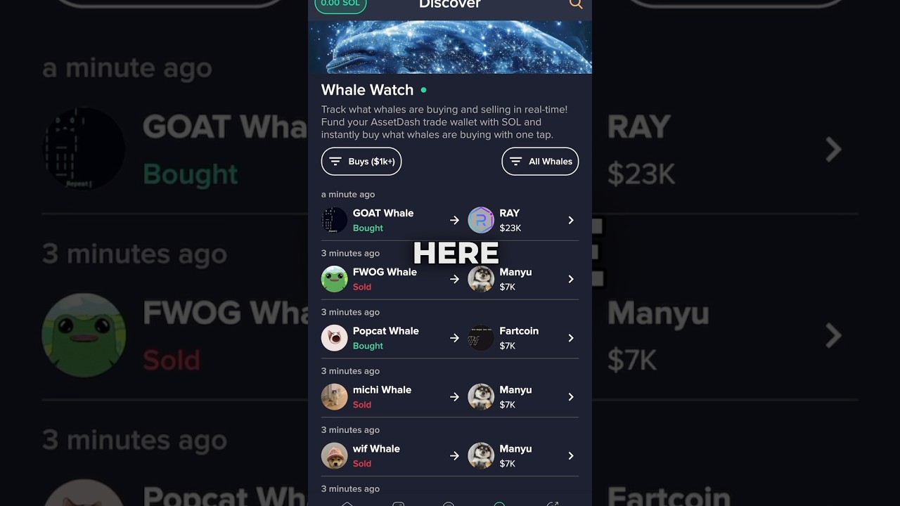 AssetDash app lets you watch WHALES buy memes live! All in one app basically! #solona #memecoin