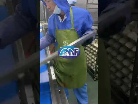 Spiral Freezer for Steamed Bun, Professional IQF freezer manufacturer