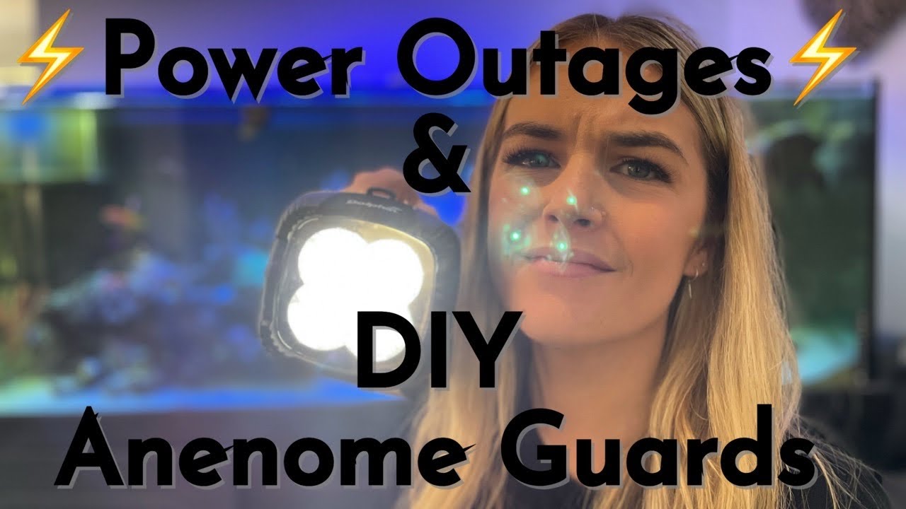 DIY Anemone wave maker covers and power outage to my reef tank update.