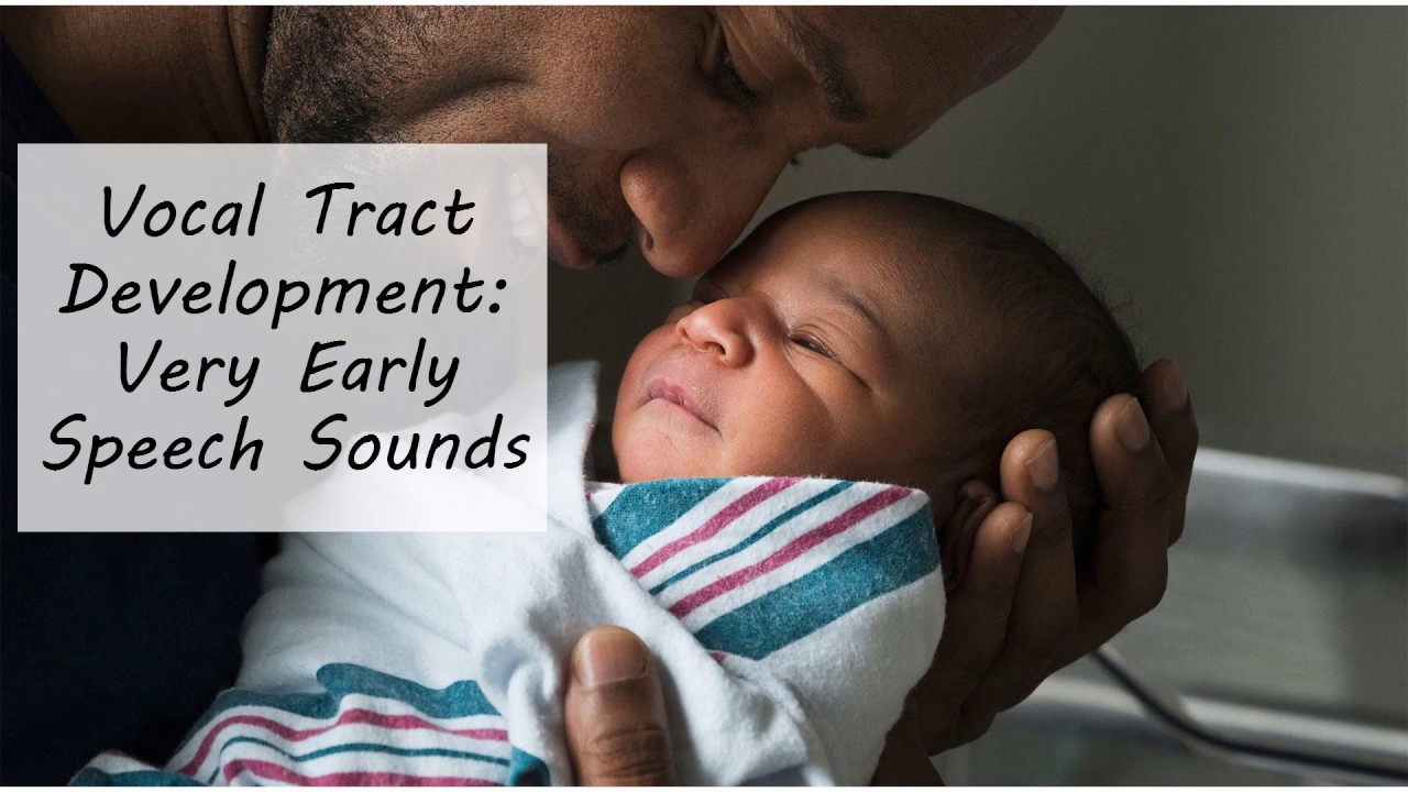 Vocal Tract Development (Language Development 21)