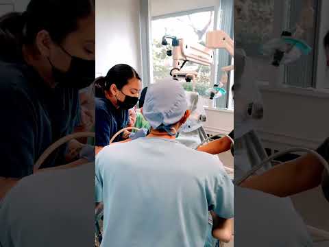 #dentist #dentists #dentalartistry #dentalprocedure #dentaltreatment #dentistry #rootcanal