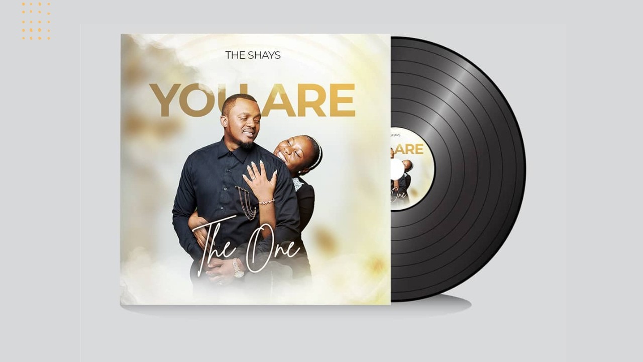 You Are the One | The Shays