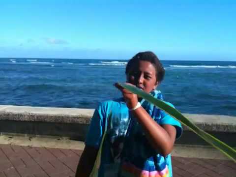 Hawaiian slingshot