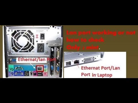 LAN Networking Services, LAN Services in India