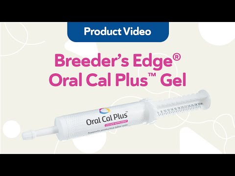 Breeder’s Edge Oral Cal Plus Gel | Calcium Support for Whelping Dogs & Queening Cats