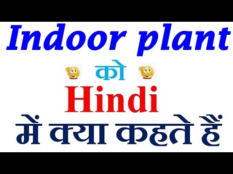 Indoor plant meaning in hindi | Indoor plant ka matlab kya hota hai | Indoor plant in hindi