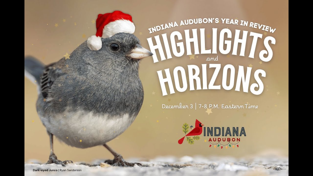 Highlights & Horizons: Indiana Audubon's 2025 in Review