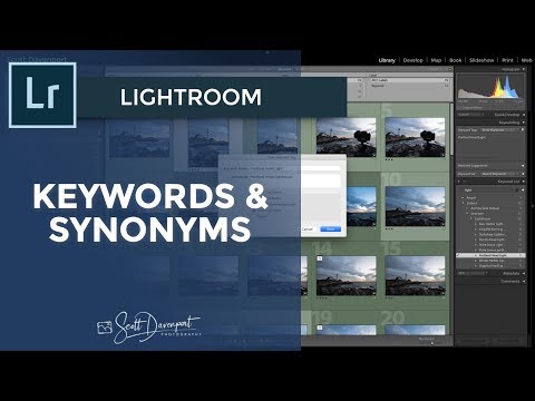 Keywords And Synonyms In Lightroom