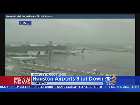 Flooding In Houston Forces Flight Cancellations, Delays At LAX