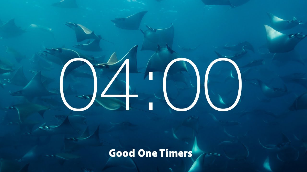 4 Minute Countdown Timer with Relaxing Music | 4K | Alarm | School of Manta Rays