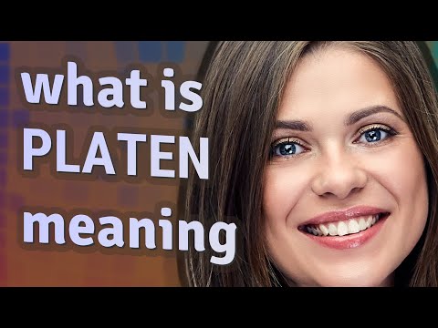 Platen | meaning of Platen