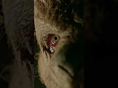 Winnie the Pooh: Blood and Honey 2 - "Fokus" | Biopremiär 27 mars | www.varmland.bio | #BioNäraDig
