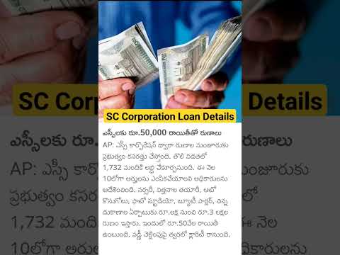 SC Corporation Loan Details