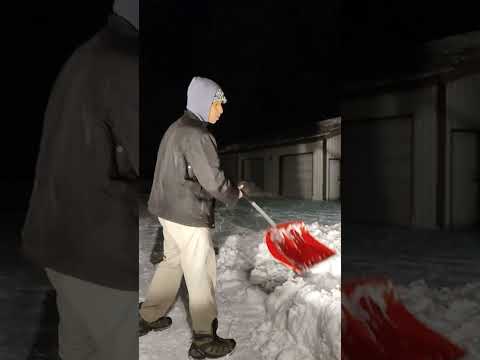 Jamaican man no like snow
