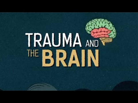 Trauma and the Brain