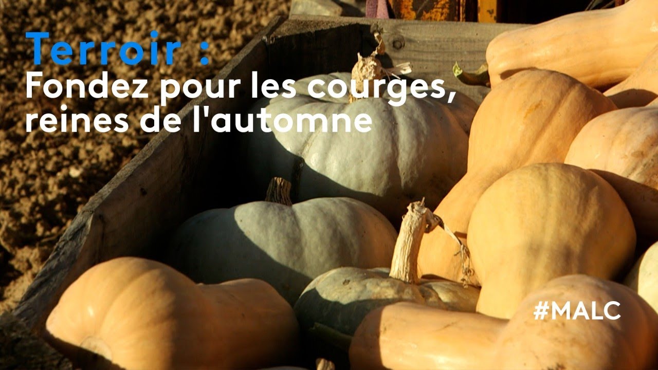 Terroir: Fall for squash, queens of autumn