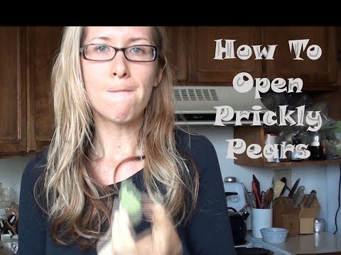 All About Prickly Pears