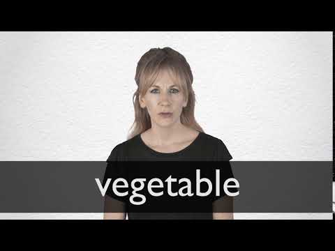 How to pronounce VEGETABLE in British English
