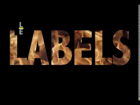 Barriers and limitations: How are you labelled? BAME? BME? Black Asian Minority Ethnic?