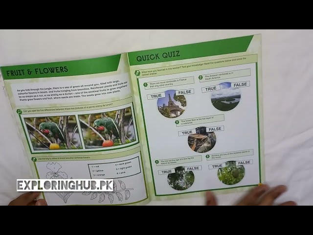 Rainforest Sticker Activity Book