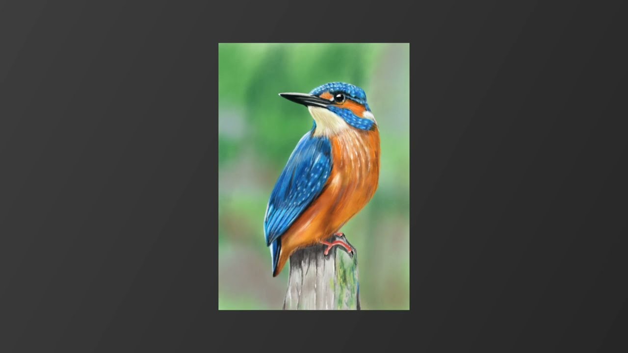 DIGITAL ART - Darting Dynamo