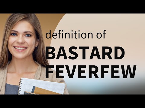 Bastard feverfew — BASTARD FEVERFEW definition